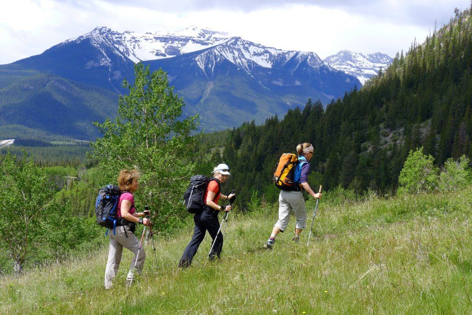 Yamnuska Mountain Adventures - Tourisme Alberta